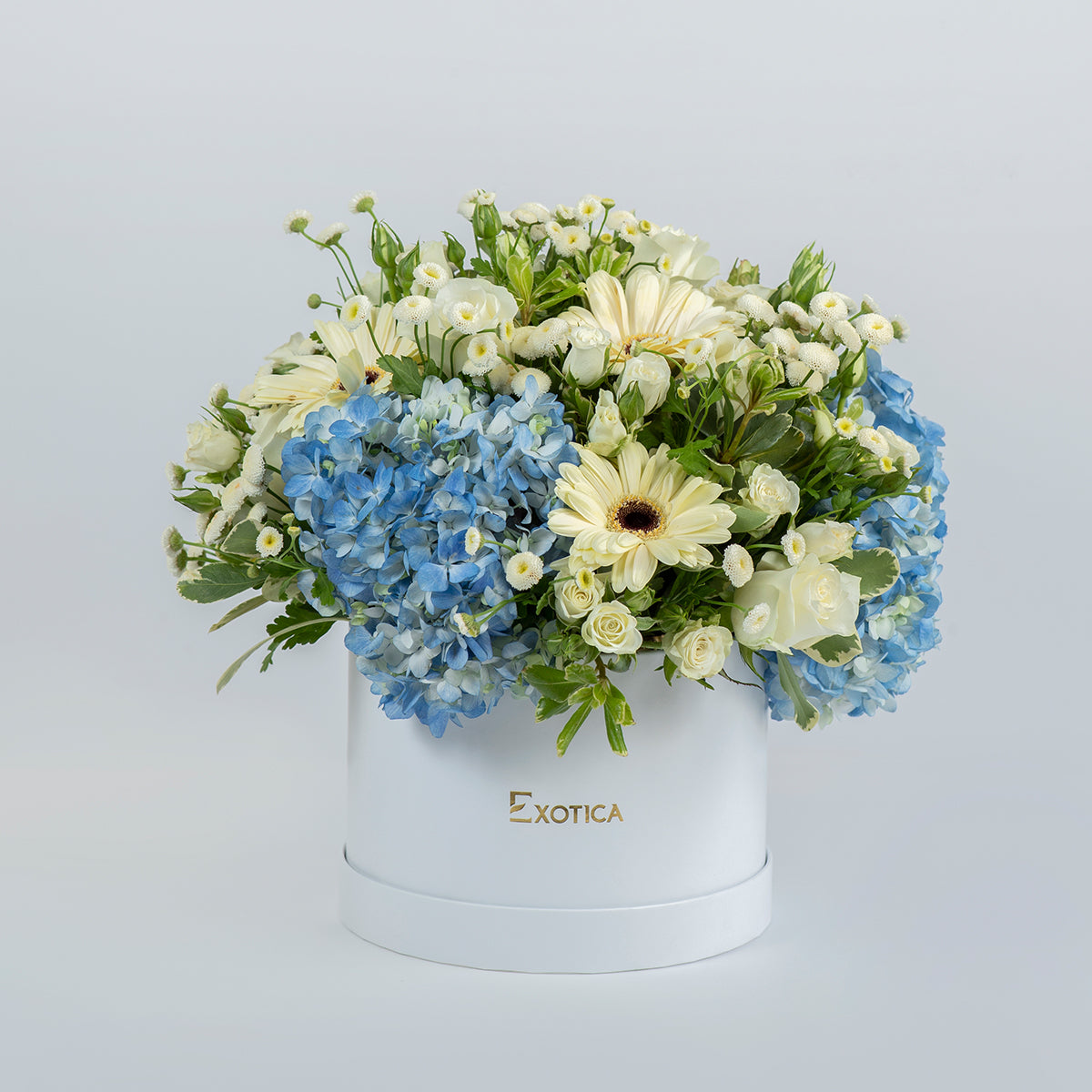 Serene Love – Exotica UAE