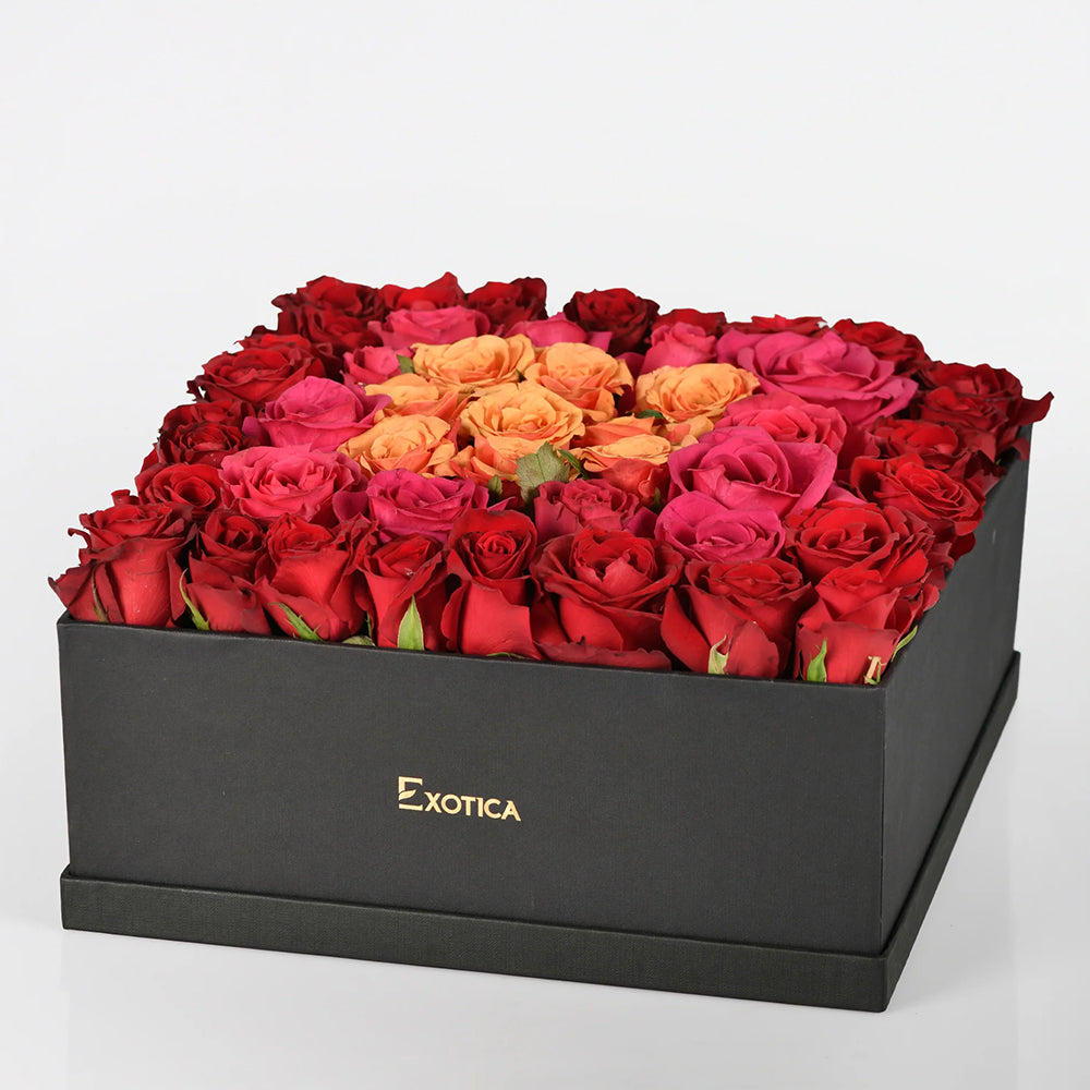 Splendid Roses | Free Delivery in Dubai & Abu Dhabi – Exotica UAE