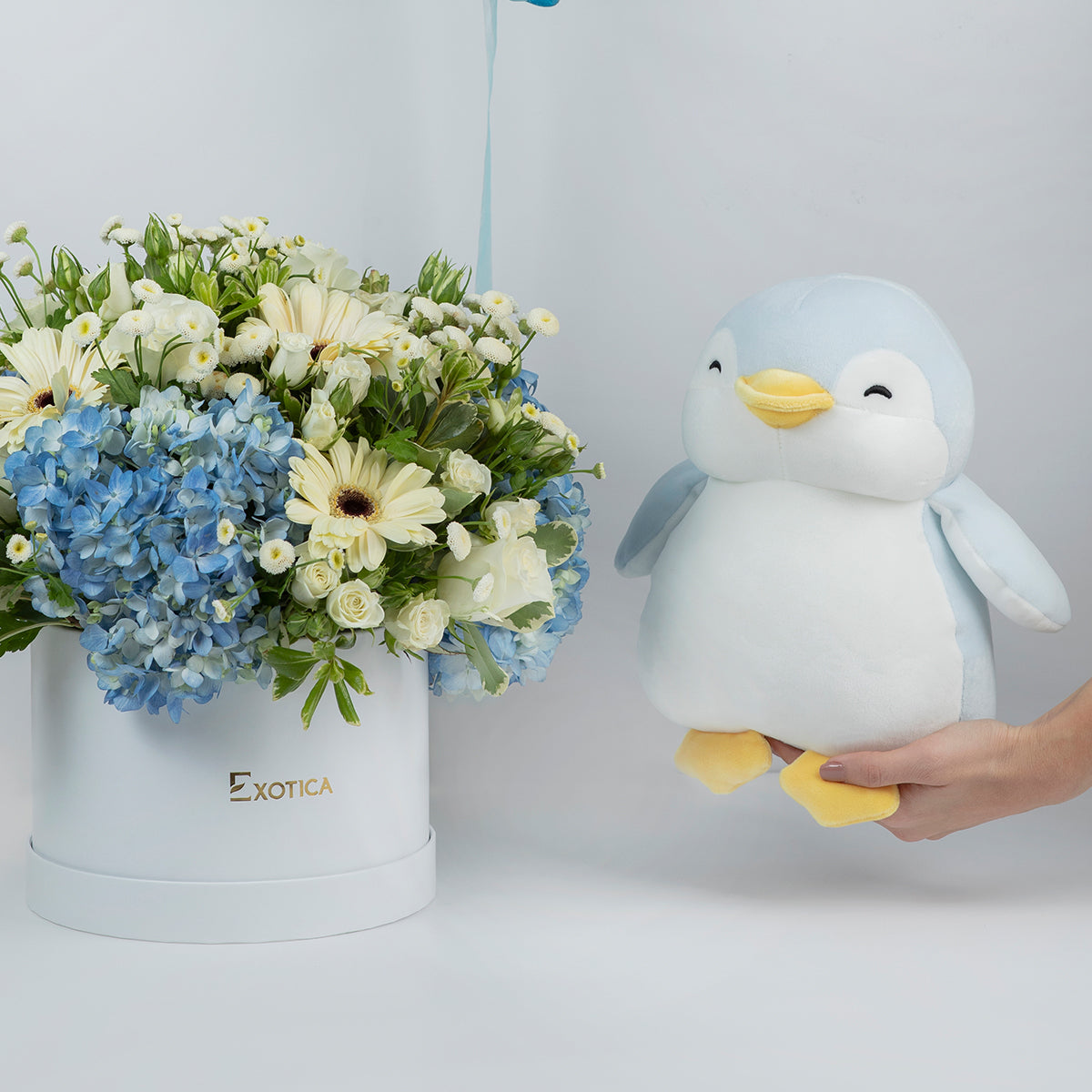 It's a Boy! | flower bouquets that are affordable with free delivery ...